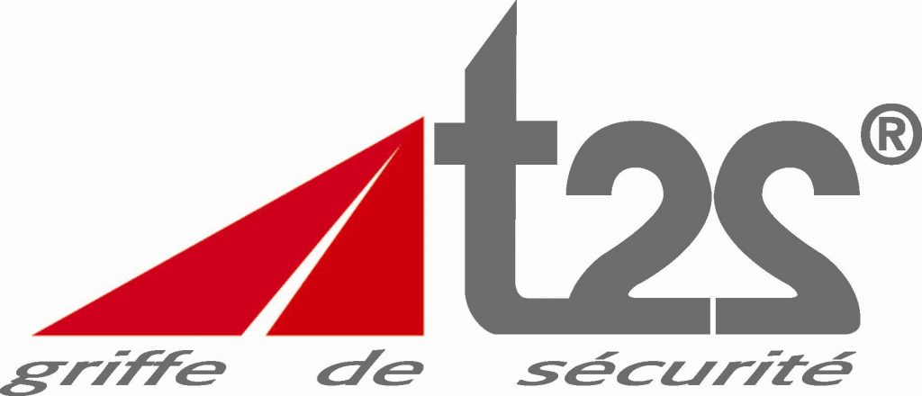 logo-t2s